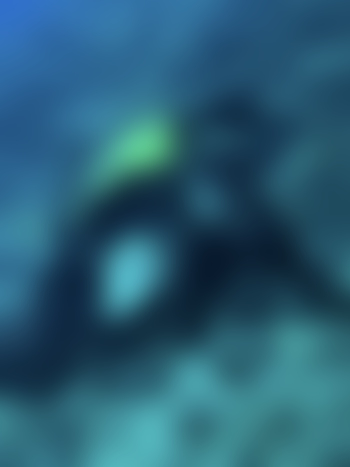 Find a Sugar Daddy in Seattle, Washington - SugarDaddyMeet