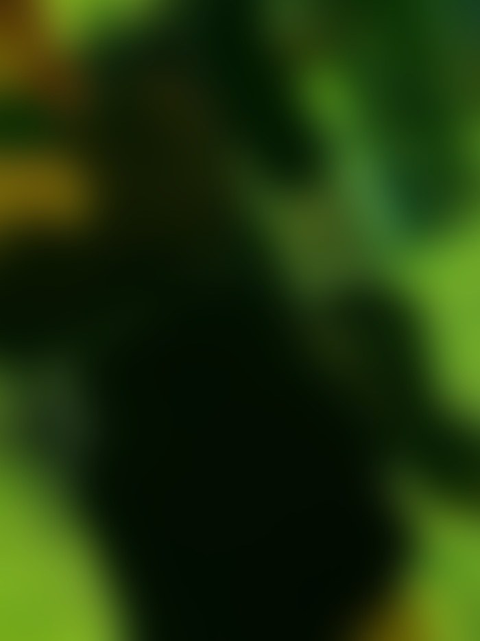 Find a Sugar Baby in Melbourne, Victoria - SugarDaddyMeet